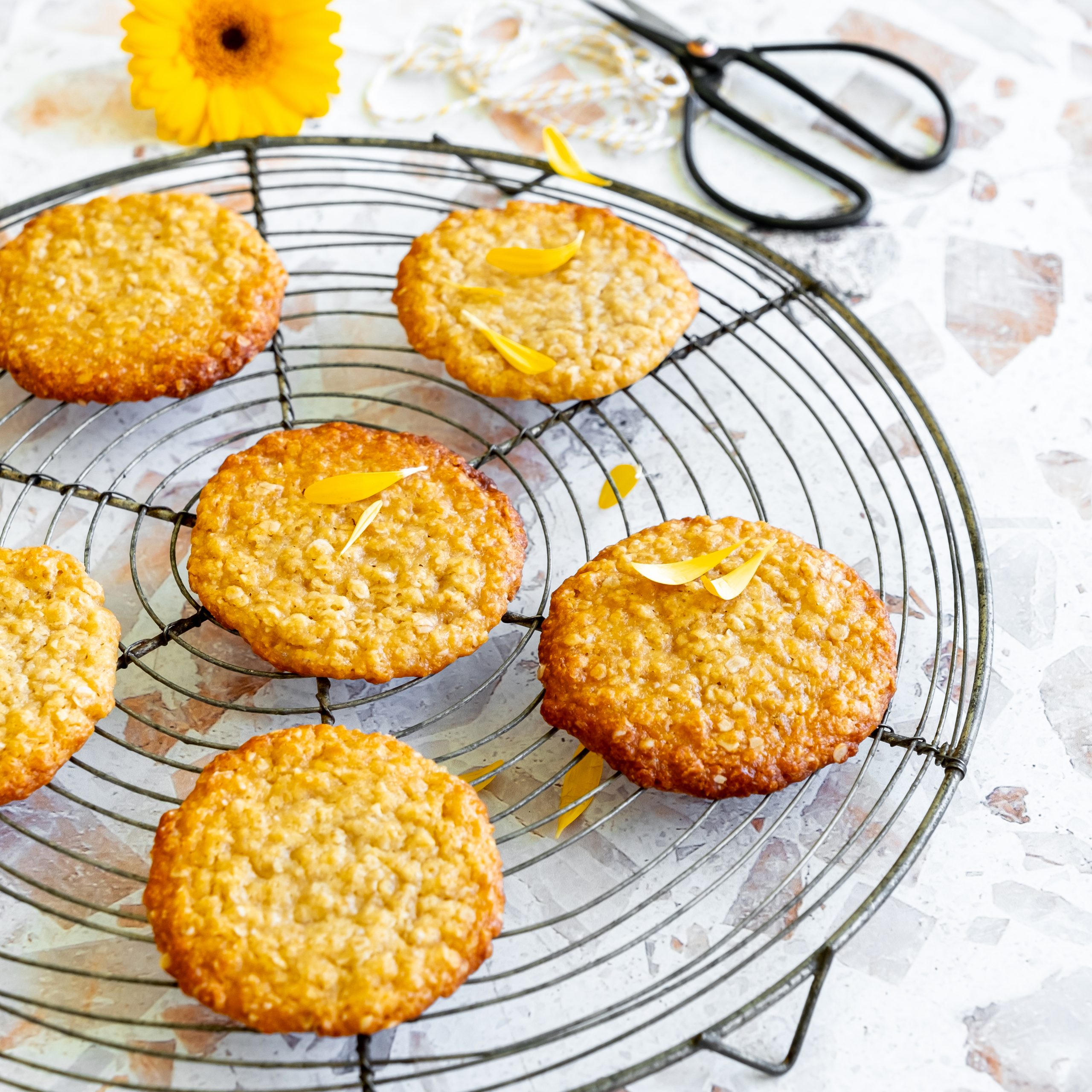 ANZAC Protein Biscuits - Davis Gelatine